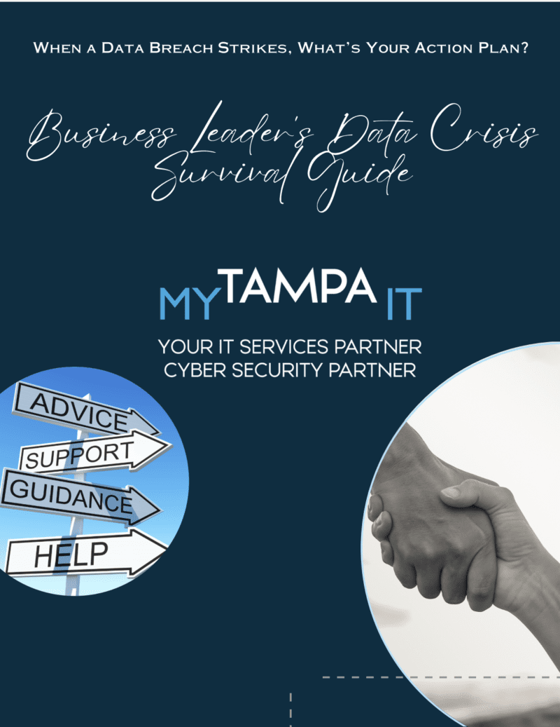 Business Leader's Data Crisis Survival Guide | My Tampa IT